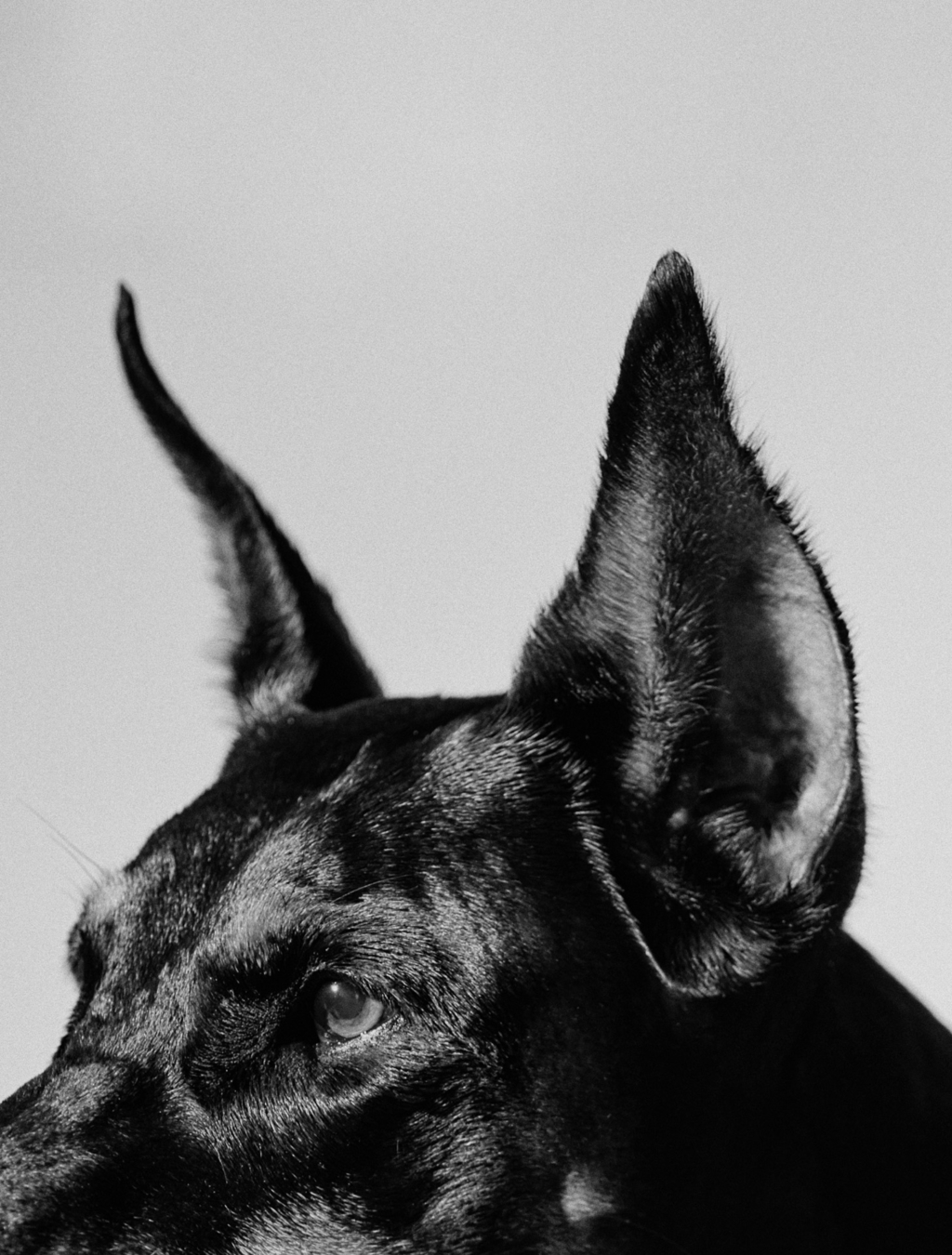 Cyrill Matter — Editorial